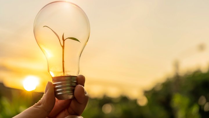 How Budderfly reduces energy costs, helps QSRs become greener | QSR Web