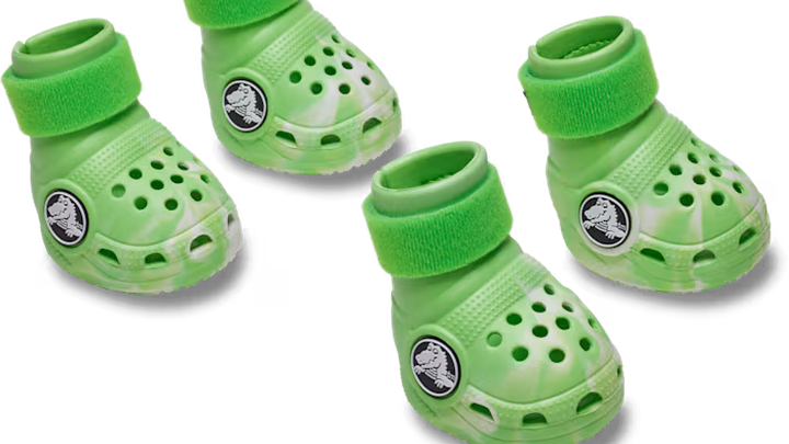 Crocs puts best paw forward with clogs for the canine world | Retail ...