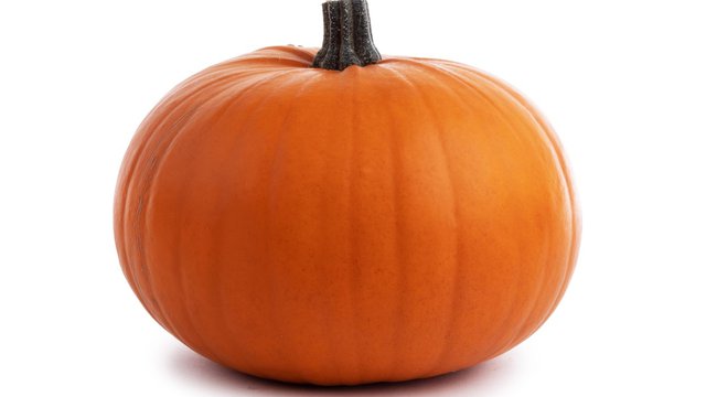 Dunkin' does it again: The Great Pumpkin has arrived | QSRweb