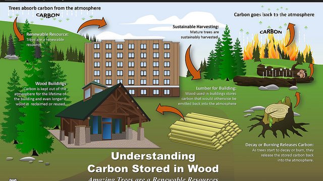 Environmental Impact Of Buildings