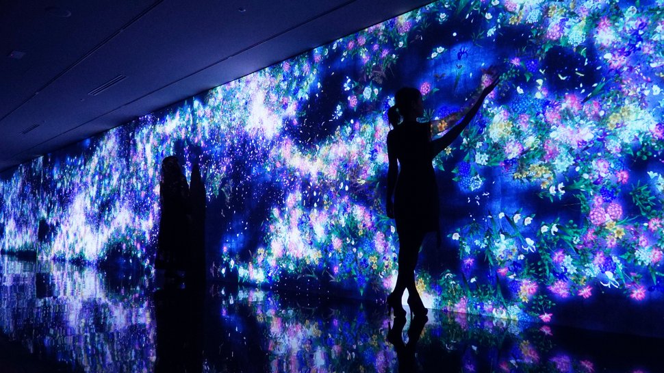 'Infinity of Flowers' showcases power of interactive displays | Digital ...