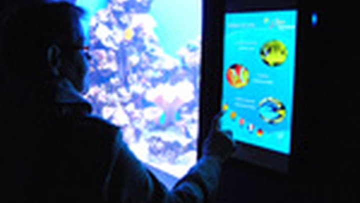 Interactive aquarium exhibits invite visitors to touch and learn ...