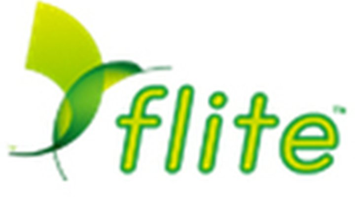 Flite plan: Launching a new ATM business model (part I) | ATM Marketplace