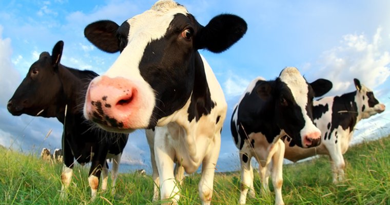 A customer's perspective: It's time to slay a few of banking's sacred ...