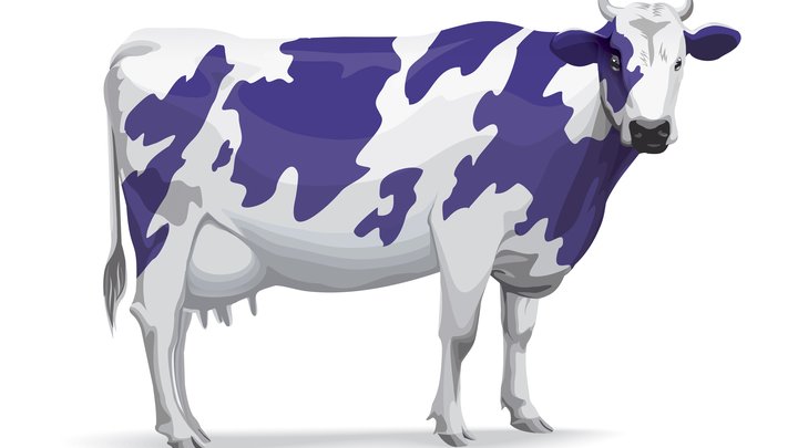 Finding your 'Purple Cow:' 3 ways to connect consumers to your brand ...