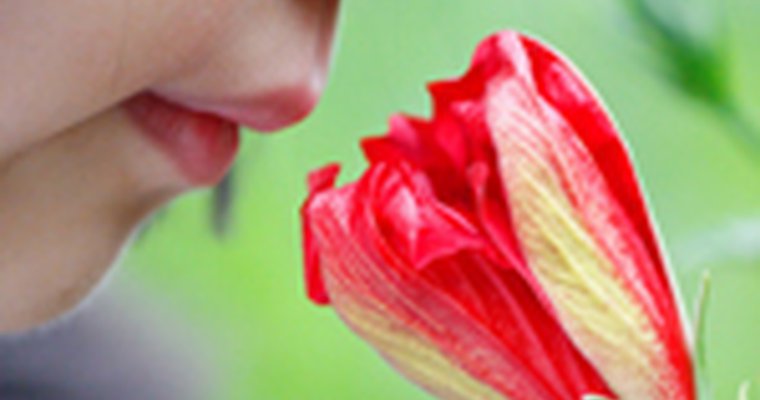 Crafting the perfect ambient scent for your stores via the 'six scent ...