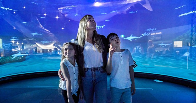 Wisconsin's Mulva Center announces upcoming Sharks exhibit | Digital ...