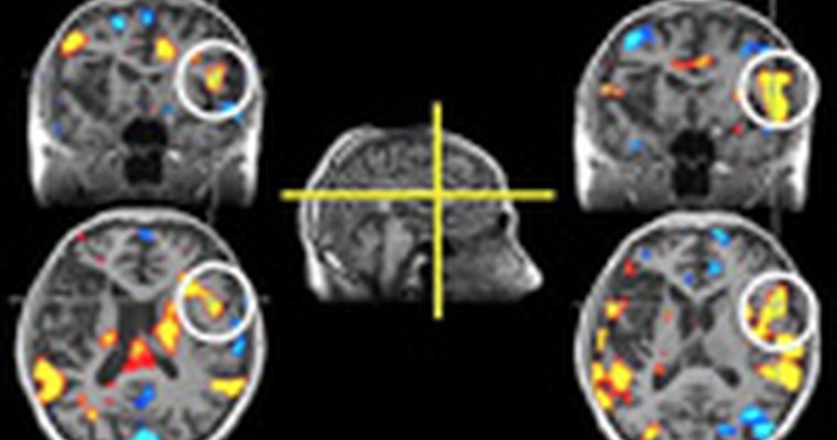 Trigger an emotional response with digital signage design | Digital ...