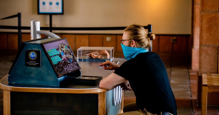 Touchless makes big strides in self service | Kiosk Marketplace