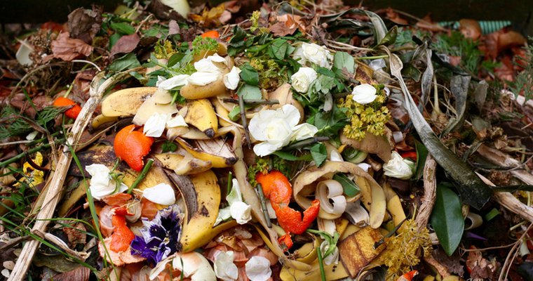 5 things you can learn from your restaurant's dumpster | Commentary ...