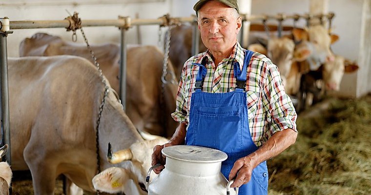 Farmers dumping milk due to supply chain roadblocks caused by ...