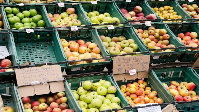 A beautiful find: How 2 grocers stock relevance through sustainability ...
