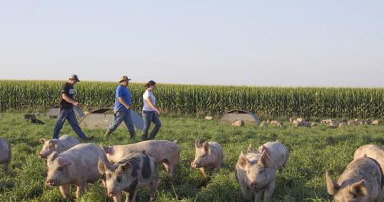 Chipotle donates $125K to sustainable farming scholarship | Fast Casual