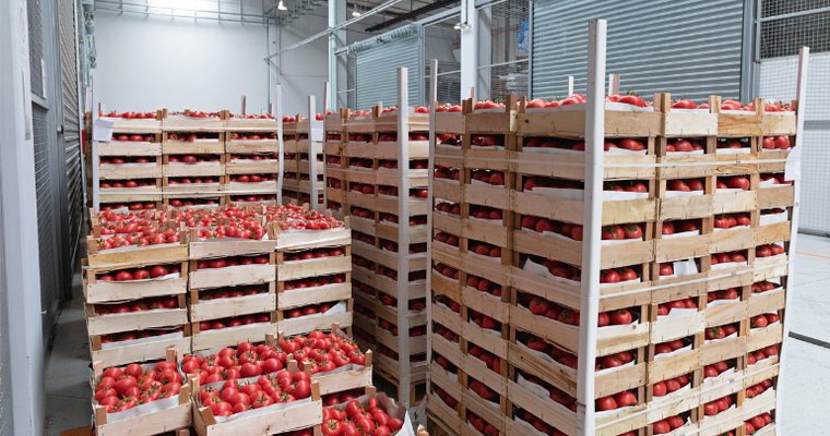 Grocery warehouse taps Symphony RetailAI for greater supply ...