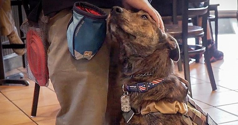 Do your pizzeria employees know the law around customers with service ...