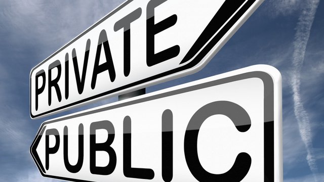 Top execs discuss perks and pitfalls of private vs public ownership ...