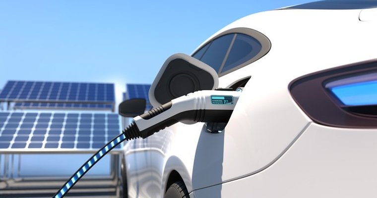 ‘Solar trees’ to join the EV charging landscape | Kiosk Marketplace