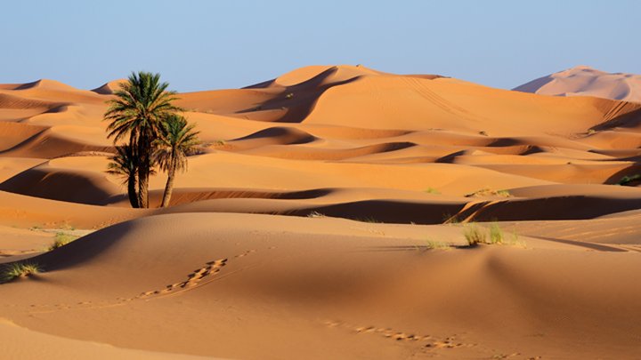 An oasis in the cash desert: How UK FIs can reinvent the ATM channel ...