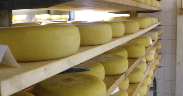 Cheese prices rise sharply week over week | Pizza Marketplace