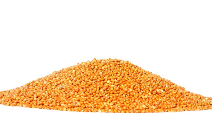 North Carolina farm installs bulk corn vending machine | Kiosk Marketplace