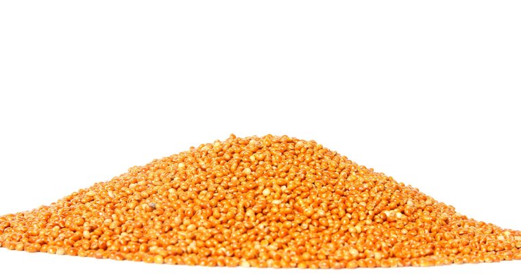 North Carolina farm installs bulk corn vending machine | Vending Times