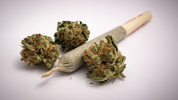 Cannabis provider Terrapin introduces vending machine | Vending Times