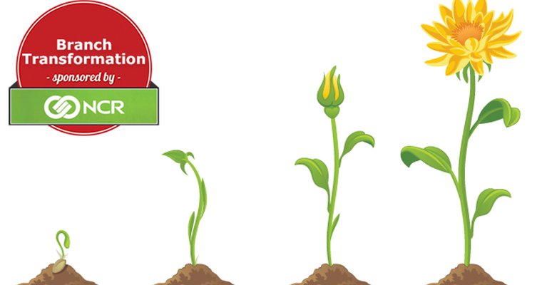 From promising to proven: The state of branch transformation | ATM ...