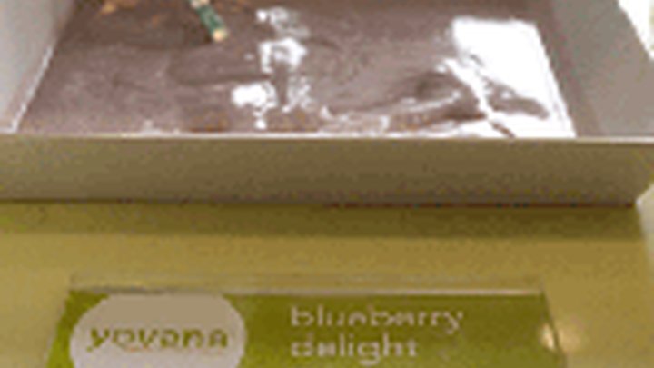 TCBY testing meal replacement concept | QSR Web