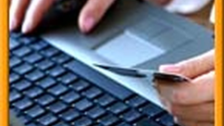 Acculynk pushes Internet PIN-debit service in U.S., caters to online ...