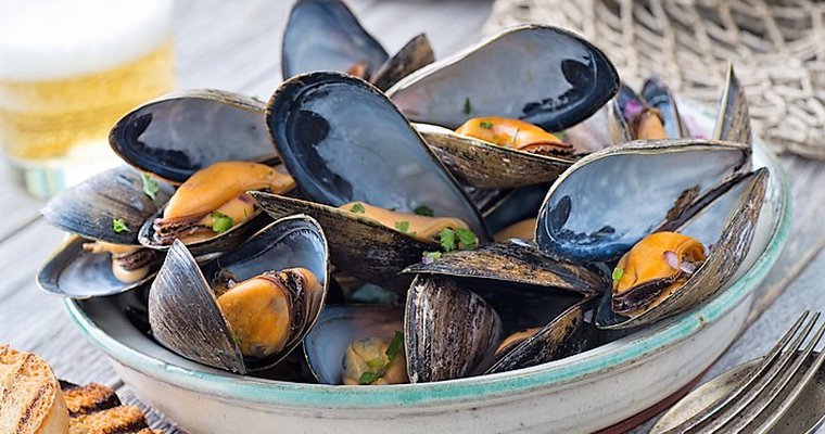 Mussel vending machine debuts in The Netherlands | Vending Times